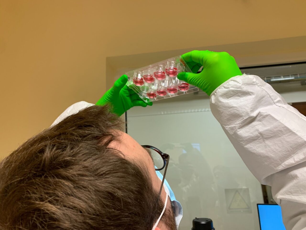 Comprendre la bio-impression en trois questions | Le Crabe